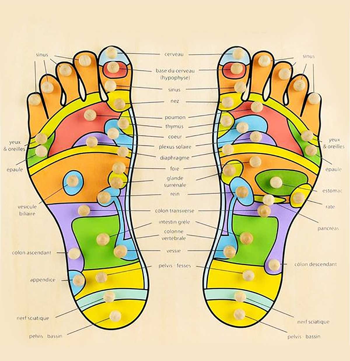 Réflexologie : nos pieds sont extraordinaires! – LES JOLIES QUINQUAS